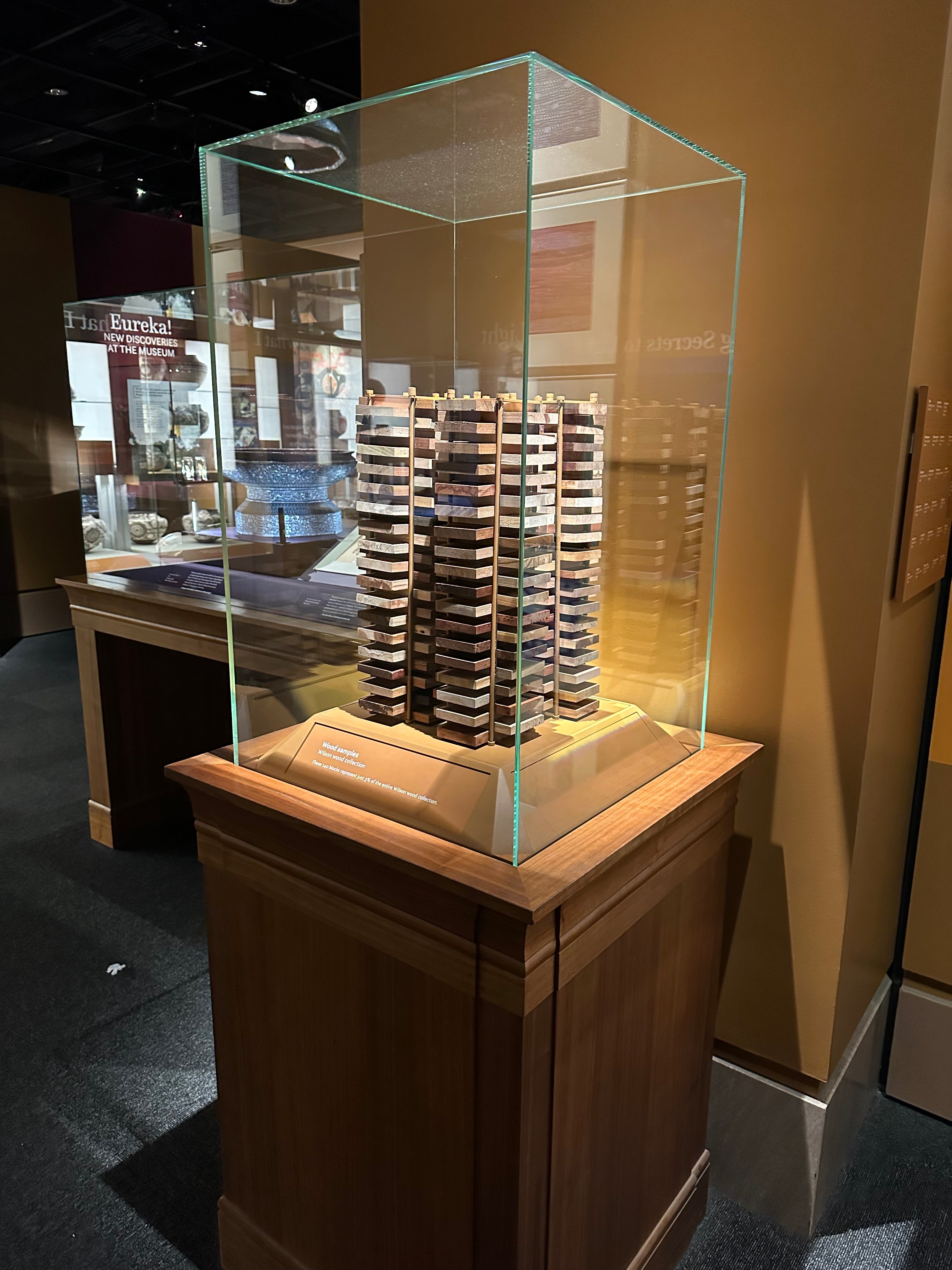 5 Sided Acrylic Boxes Pleximart