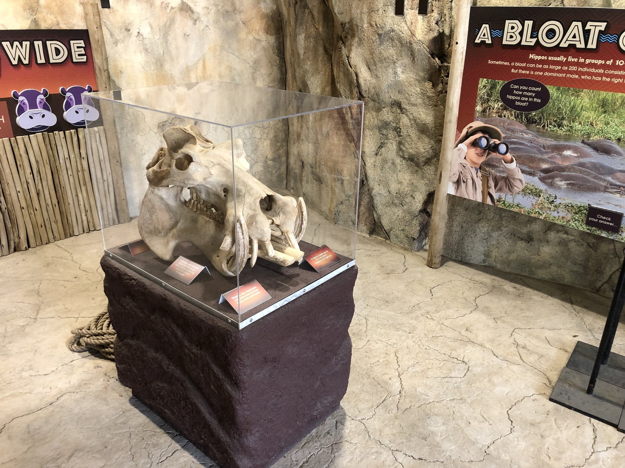 Custom Acrylic Display Boxes And Cases – Pleximart